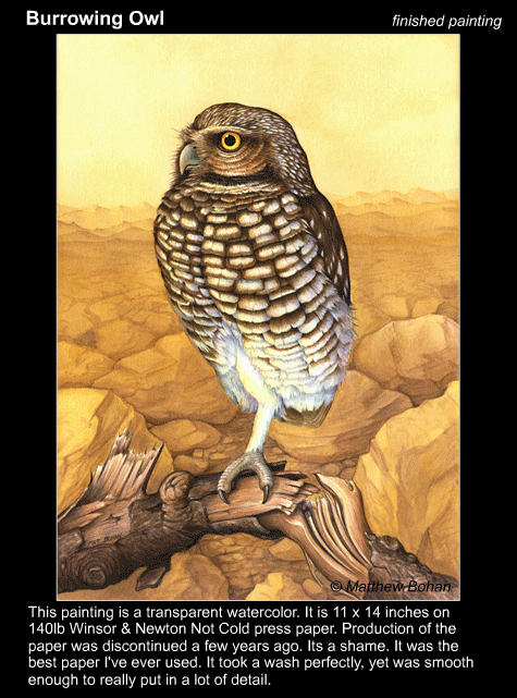How To Draw An Owl Gif